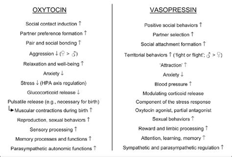 Oxytocin Hormone Function