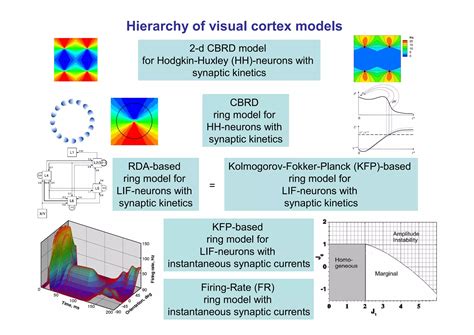 Hierarchy Of Visual Cortex Models Pdf Home Entertainment Systems