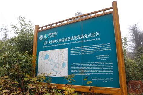 国家公园蹲点记⑨丨三点支撑大熊猫国家公园创新示范区 四川在线
