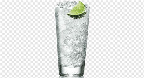 진토닉 토닉 워터 엘더 플라워 코디 얼 칵테일 마티니 유리 비 알코올 음료 텀블러 Png Pngwing