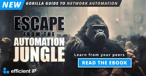 Efficientip On Linkedin The Gorilla Guide To Network Automation