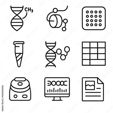 Epigenetic Profiling Icons Outline Icon Set Of Epigenetic Profiling