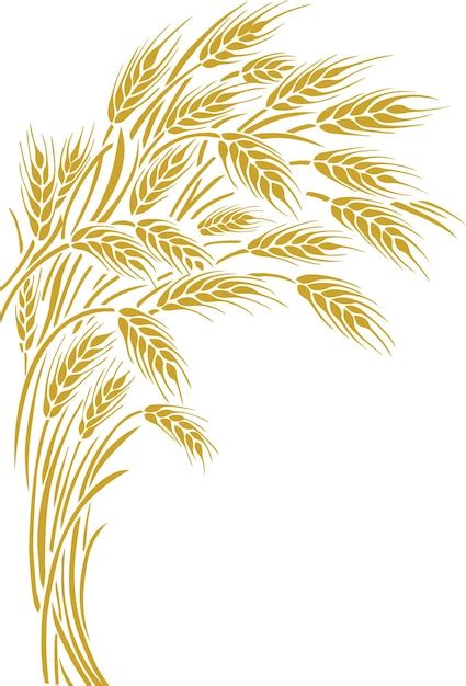 무료로 다운로드 가능한 밀 벡터 And 일러스트 Freepik