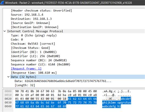 networking what is the character sequence in data that is shown
