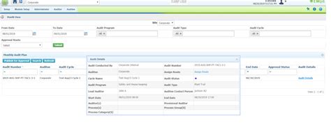 Flexibility Efficiency Of Use Monthly Audit Plan Audit Details I Couldnt Able To