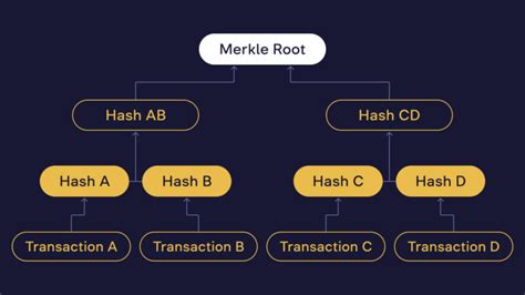 What Is A Hash And Hash Function Their Role In Crypto WhiteBIT Blog