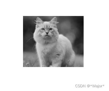 预处理之转灰度图 transnormalize灰度 CSDN博客