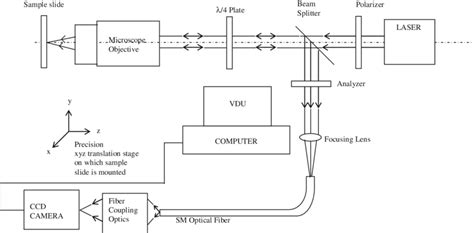 Confocal Microscope Setup Download Scientific Diagram