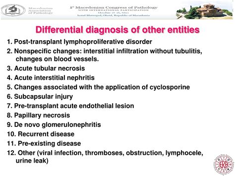 Ppt The Value Of Protocol Biopsies In Renal Allografts Powerpoint