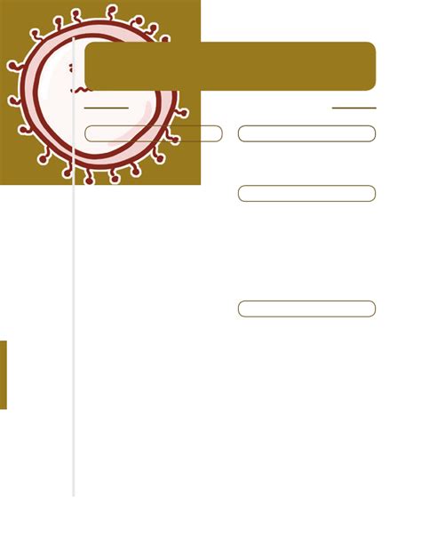 Cestodes Tapeworms Notes Diagrams And Illustrations Osmosis
