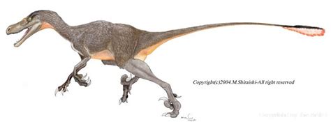 Velociraptor Facts You Did Not Know