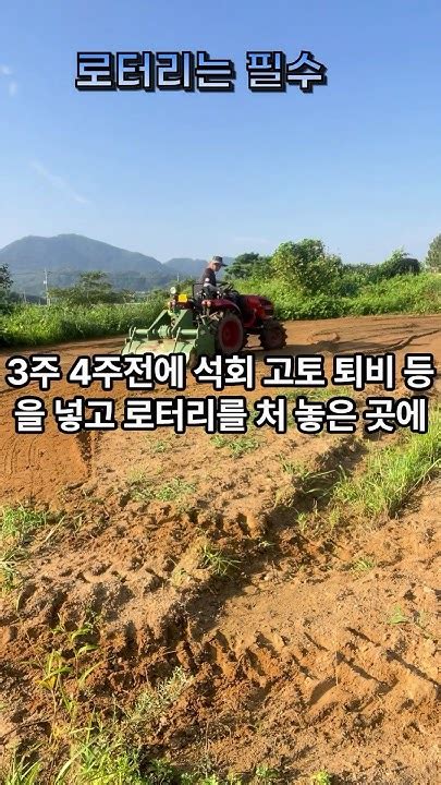배추 밭 퇴비 비료 뿌리면 바로 트랙터 로터리 작업을 해 주세요 Youtube