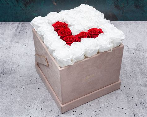 letter digit symbol xl rosetale de