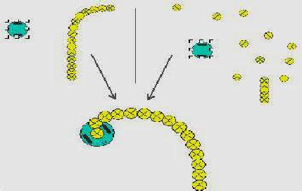 Solution Of The Inverse Kinematics Problem Download Scientific Diagram
