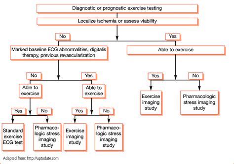 choice of exercise testing modality in different clinical settings