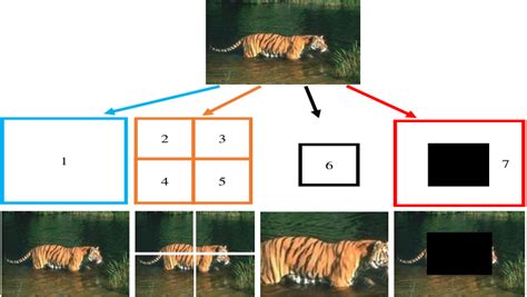 illustration of the multi region representation download scientific diagram