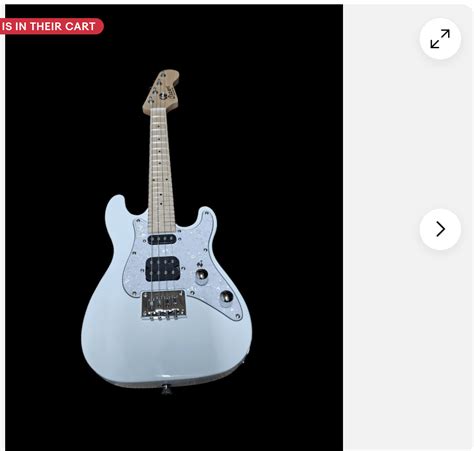 Im Looking For A Solid Body Ukelele Case Rukulele