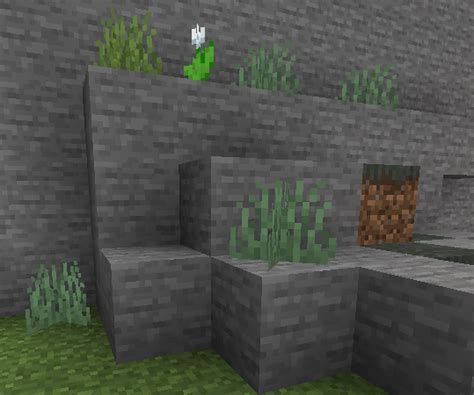 Waxed Grass Minecraft Bedrock Addons Curseforge