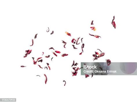 건조 히비스커스 차 분리 건조 장미 꽃잎 과일 홍차 카케이드 잎 말린 허브 음료 로젤 꽃잎 잎차에 대한 스톡 사진 및 기타