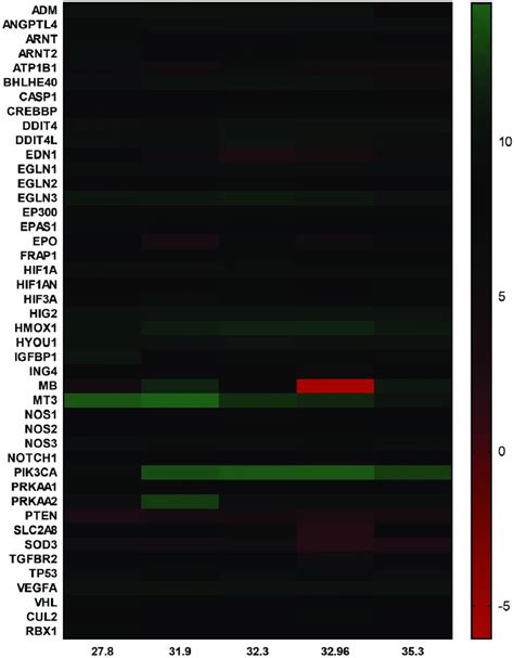 This Heatmap Shows Variable Fold Induction At Day 2 In 1 Oxygen For
