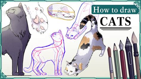 How To Draw CATS Step By Step Art Tutorial YouTube