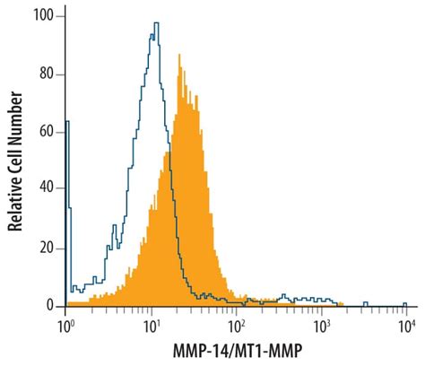 Human Mmp 14 Mt1 Mmp Antibody Af918 Randd Systems