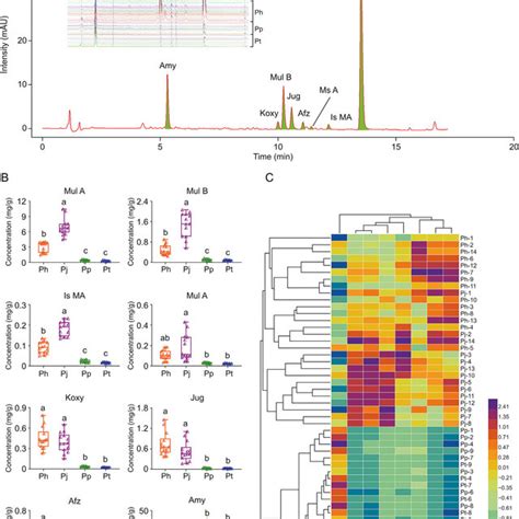 Ultra Performance Liquid Chromatography Uplc Fingerprint And