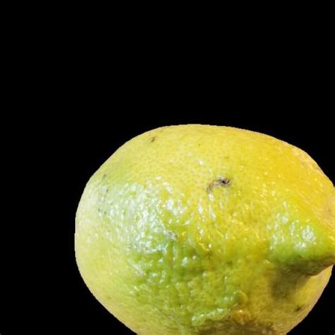 Lemon Detection Object Detection Model By Public