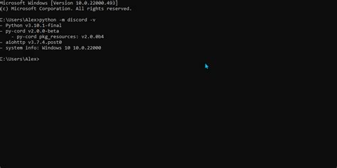 Ctxdefer Doesnt Always Work · Issue 1041 · Pycord Development