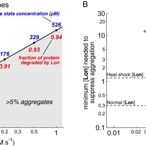 Aggregation And The Balance Between Synthesis And Degradation