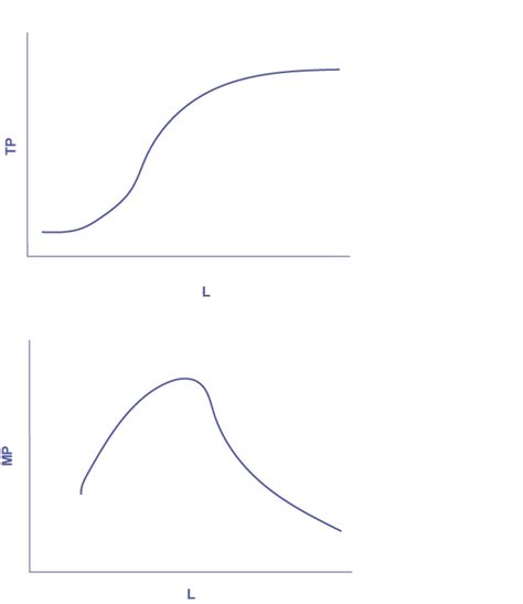The Production Function Microeconomics