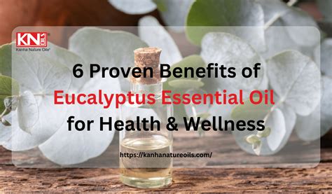 Eucalyptus Health