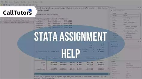 Stata Assignment Help Services Online Stata Homework Help Rstudenthub