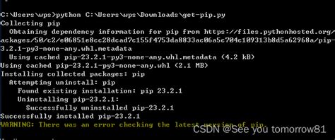Pythonpip安装教程：从版本检查到成功验证 Csdn博客
