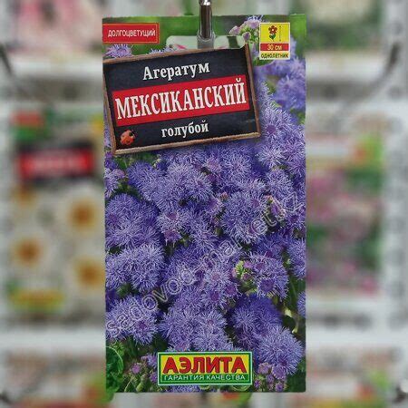 Агератум