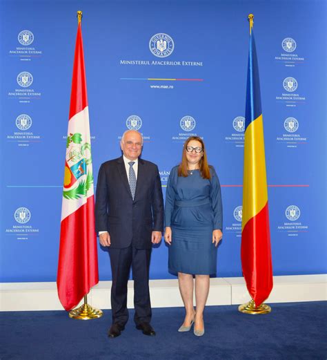 Consultările Secretarului De Stat Ana Tinca Cu Viceministrul Pentru