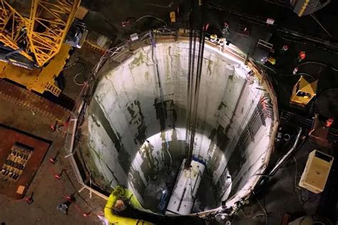 Unicellular And Multicellular Organisms Examples And Differences Evidence Network