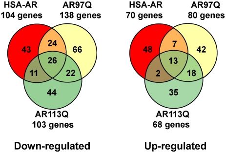 Cluster Output Represents Colorimetrically Indicated Log Ratio Change Download Scientific