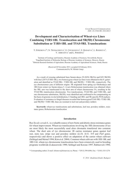 Pdf Development And Characterization Of Wheat Rye Lines Combining T1rs1bl Translocation And