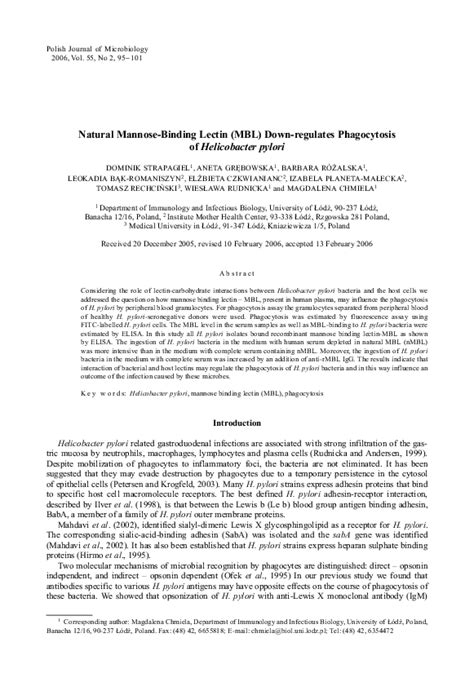 Pdf Natural Mannose Binding Lectin Mbl Down Regulates Phagocytosis