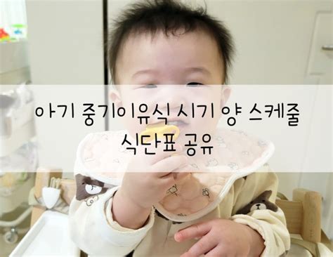 아기 중기이유식 시기 양 스케줄 식단표 공유 네이버 블로그