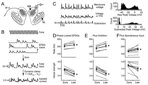 Nm Adaptation To Simulated Tonal Stimuli Download Scientific Diagram