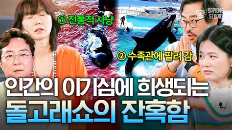 피로 물든 바다의 잔혹한 진실🩸 인간의 재미를 위해 사냥당하고 평생 갇혀 살아야 하는 돌고래들💥 알쓸별잡 지중해 Youtube