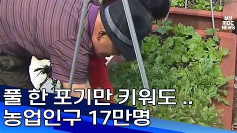 풀 한 포기만 키워도 농업인구 17만명 부산mbc20190515 Youtube