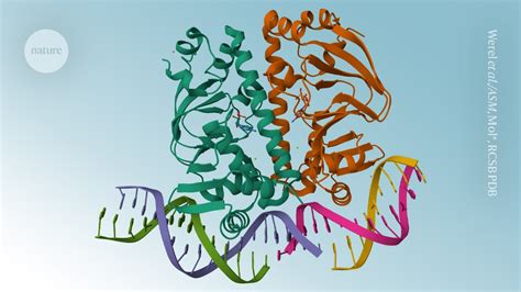Ai Protein Prediction Tool Alphafold3 Is Now Open Source