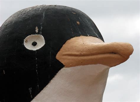 Linux Basics For The Aspiring Hacker Version 10 Getting Started