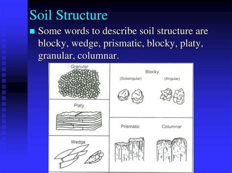PPT Soil Texture Structure PowerPoint Presentation Free Download ID