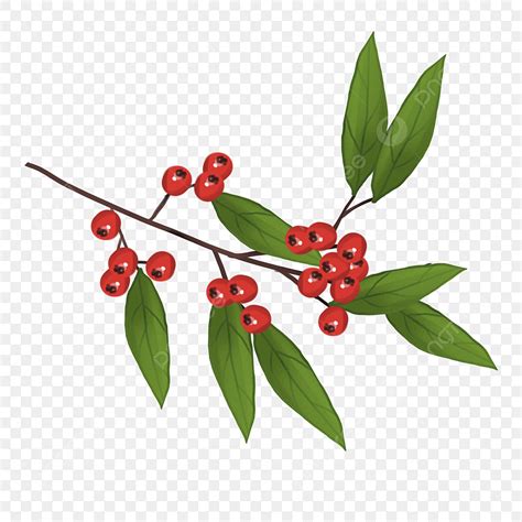 손으로 그린 색상 과일 일러스트 만화 과일 손으로 그린 만화 Png 일러스트 및 Psd 이미지 무료 다운로드 Pngtree