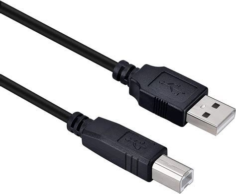 Pasow Usb 2 0 Cable A Male To B Male Cable For Printer Scanner 30 Feet 10m