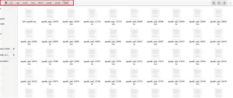 Trace Files Purging In Oracle With Examples Dot Net Tutorials